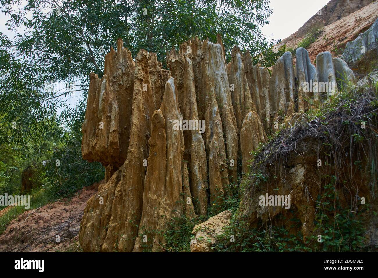 An amazing shot of Fairy stream in Vietnam Stock Photo - Alamy