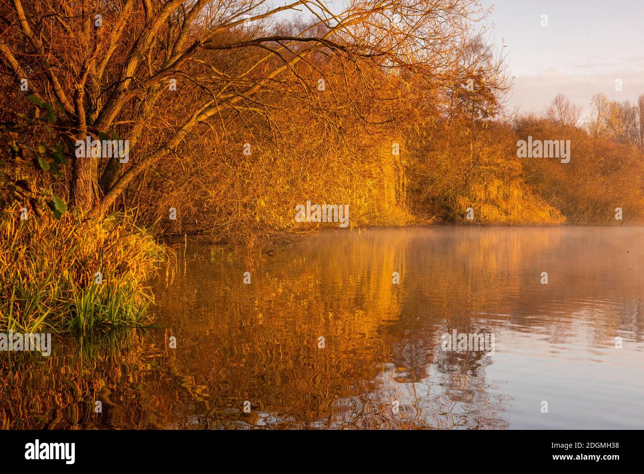 Winter sunrise at Colwick Park, Nottingham Nottinghamshire England UK ...