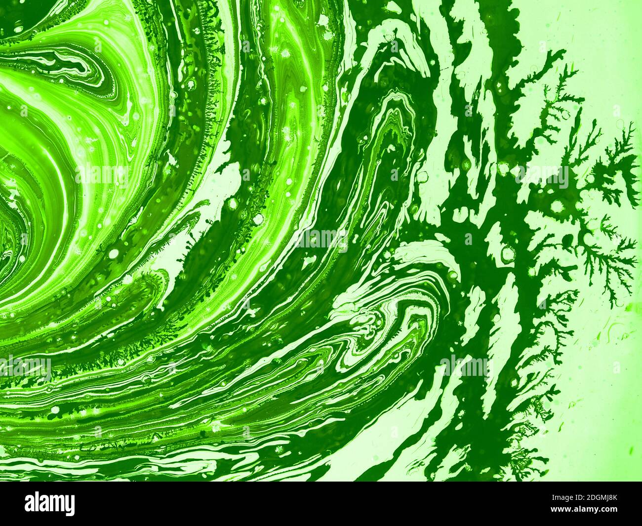 Abstract mixed white and green paint background Stock Photo - Alamy
