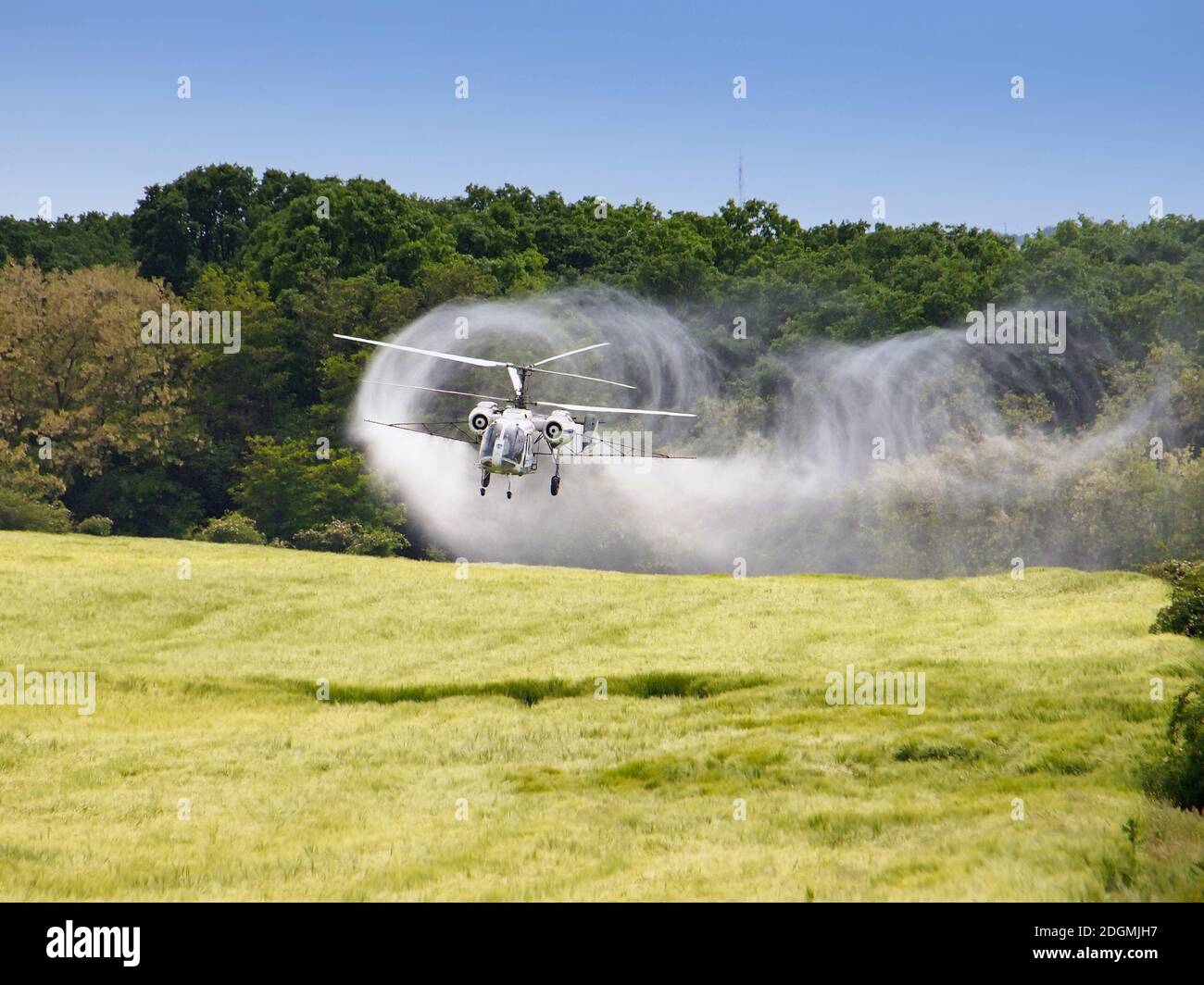 Aerial spraying over a field of wheat to control pests in agriculture ...