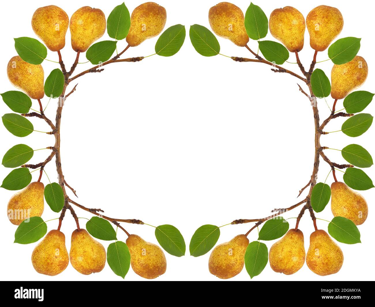 Frame of pear tree branch with ripe pear fruits and green leaves Stock ...