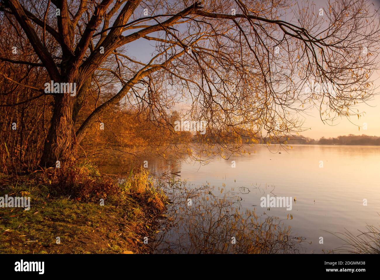 Winter sunrise at Colwick Park, Nottingham Nottinghamshire England UK ...