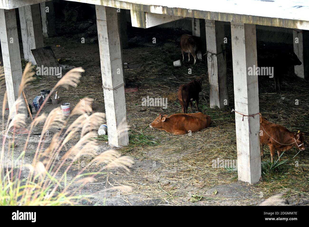 The 88-meter-high statue of the world's tallest Miao goddess Yang Asha ...