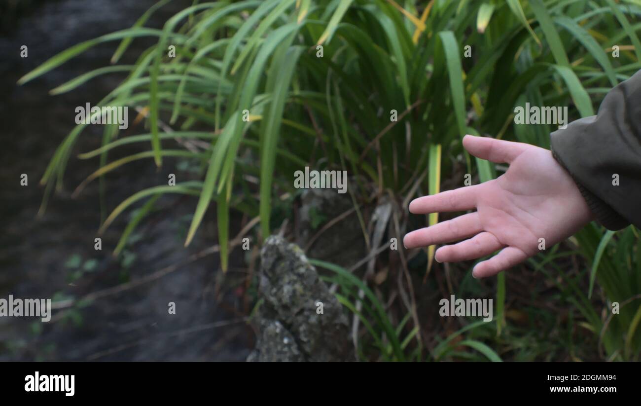 A selective focus of child's hand palm on blurred background of plants ...