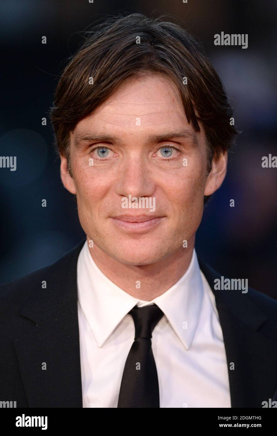 Free fire cillian murphy hi-res stock photography and images - Alamy