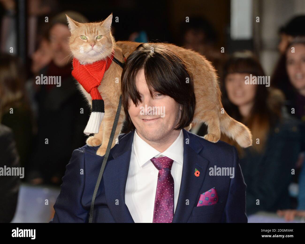 James Bowen and Bob arriving at the World Premiere of A Street Cat ...