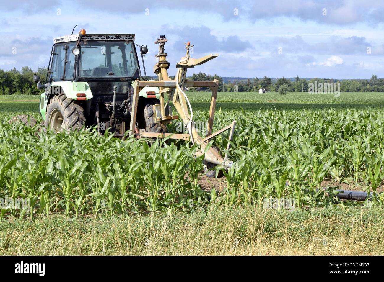 view of tractor in corn field Stock Photo - Alamy