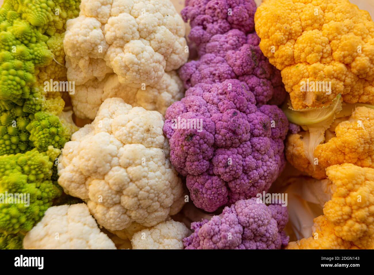 Cauliflower, yellow cauliflower, purple cauliflower and Roman ...