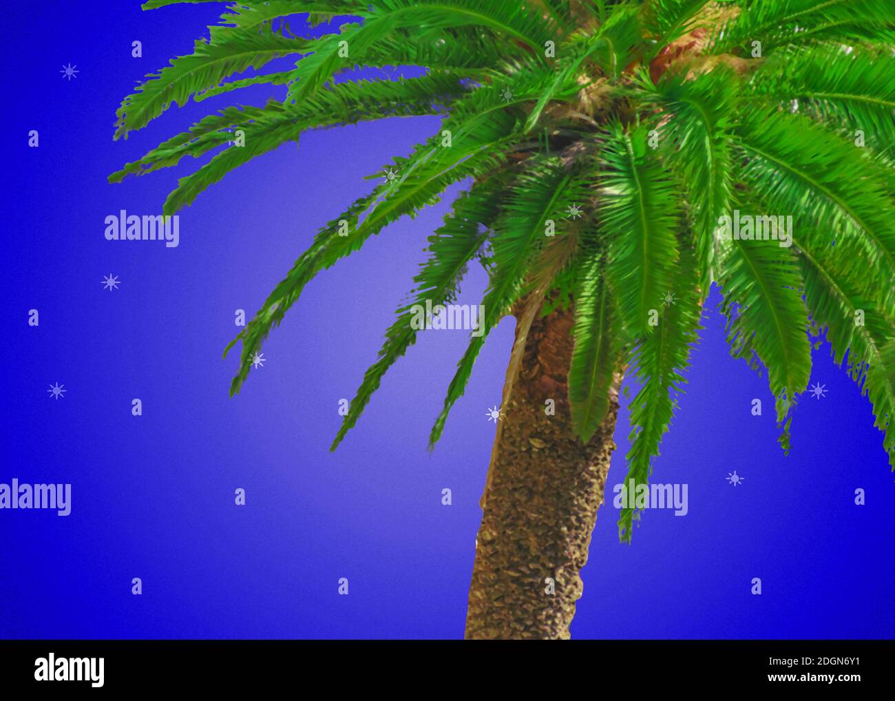 Tropical beach collage element hi-res stock photography and images - Alamy