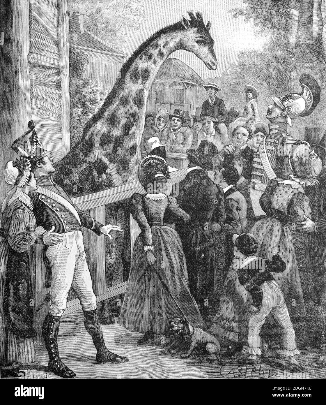 Visitors Admiring the First Giraffe in Paris & Europe Exhibited at the ...