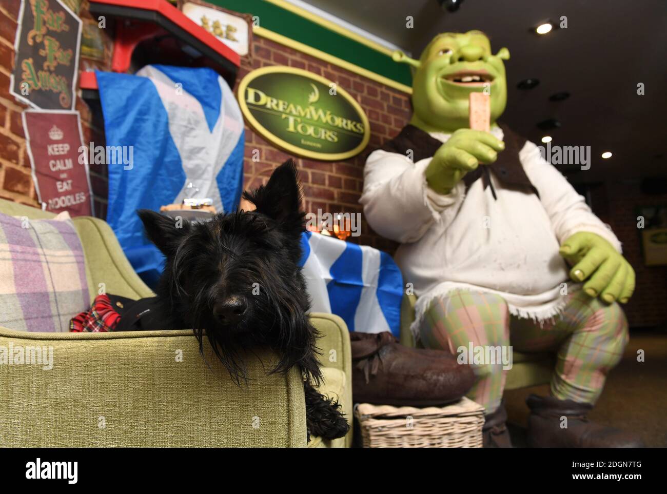 Shrek character hi-res stock photography and images - Alamy