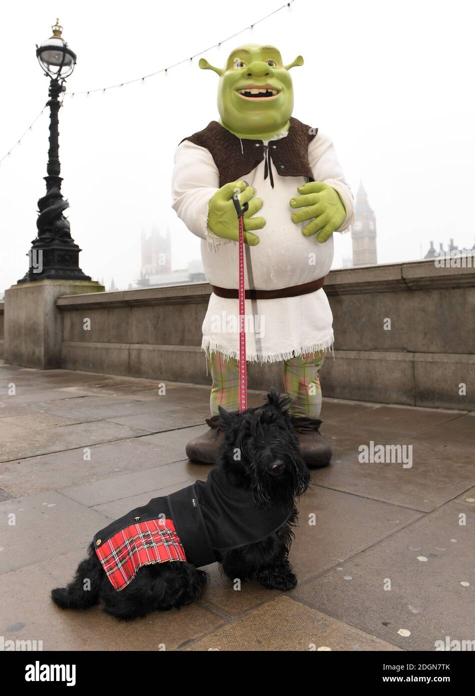 Ode to an Ogre! Shrek plays host to a Scottish themed 'Pop-up Scot' for ...