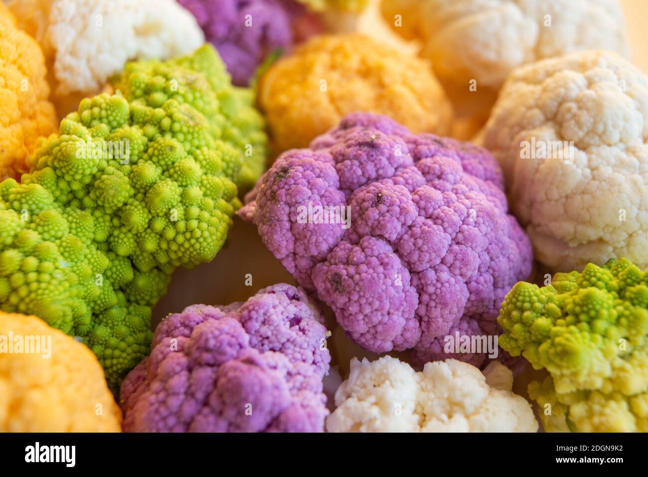 Cauliflower, yellow cauliflower, purple cauliflower and Roman ...