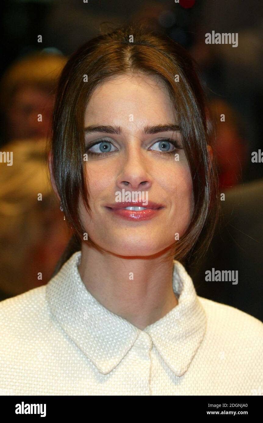 Amanda Peet at the premiere of Somethings Gotta Give, part of the ...