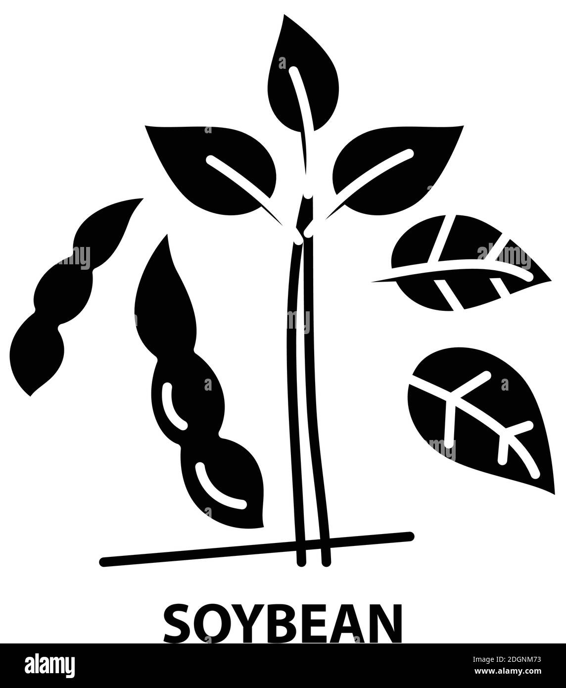soybean icon, black vector sign with editable strokes, concept ...
