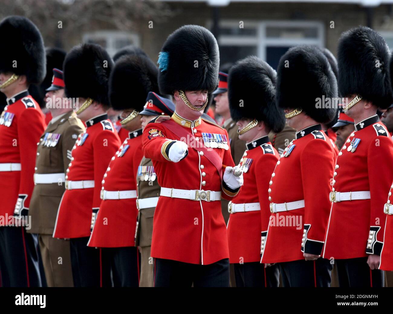Irish Guards during the Irish Guards St Patrick's Day Parade, held at ...