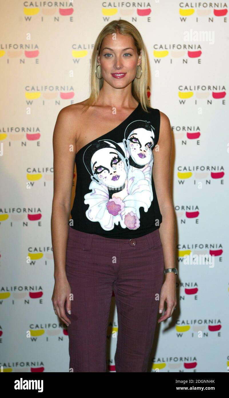 Heidi Wichlinski at the California Wine Party at The Old Saatchi ...