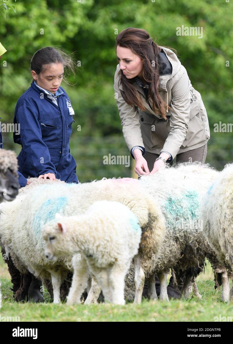 William kate children family photo hi-res stock photography and images ...