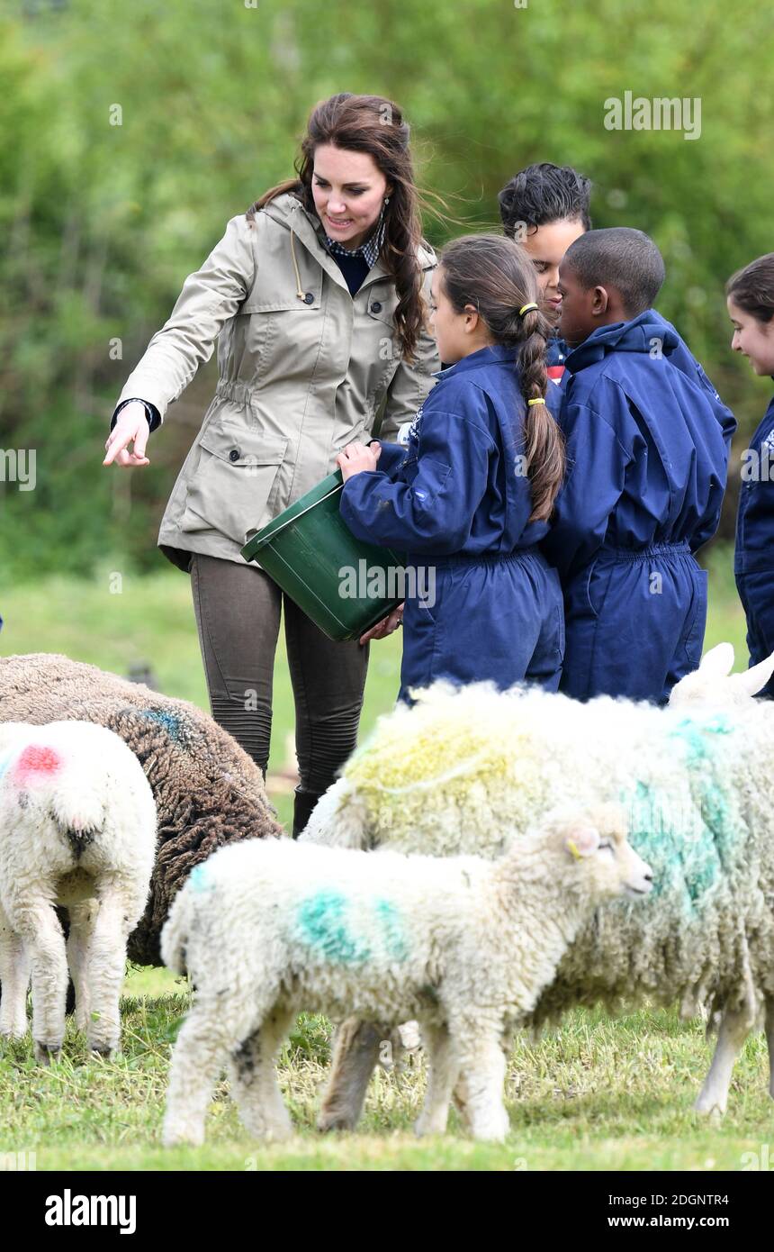 Catherine, The Duchess of Cambridge feeds a lamb during a Farms For ...