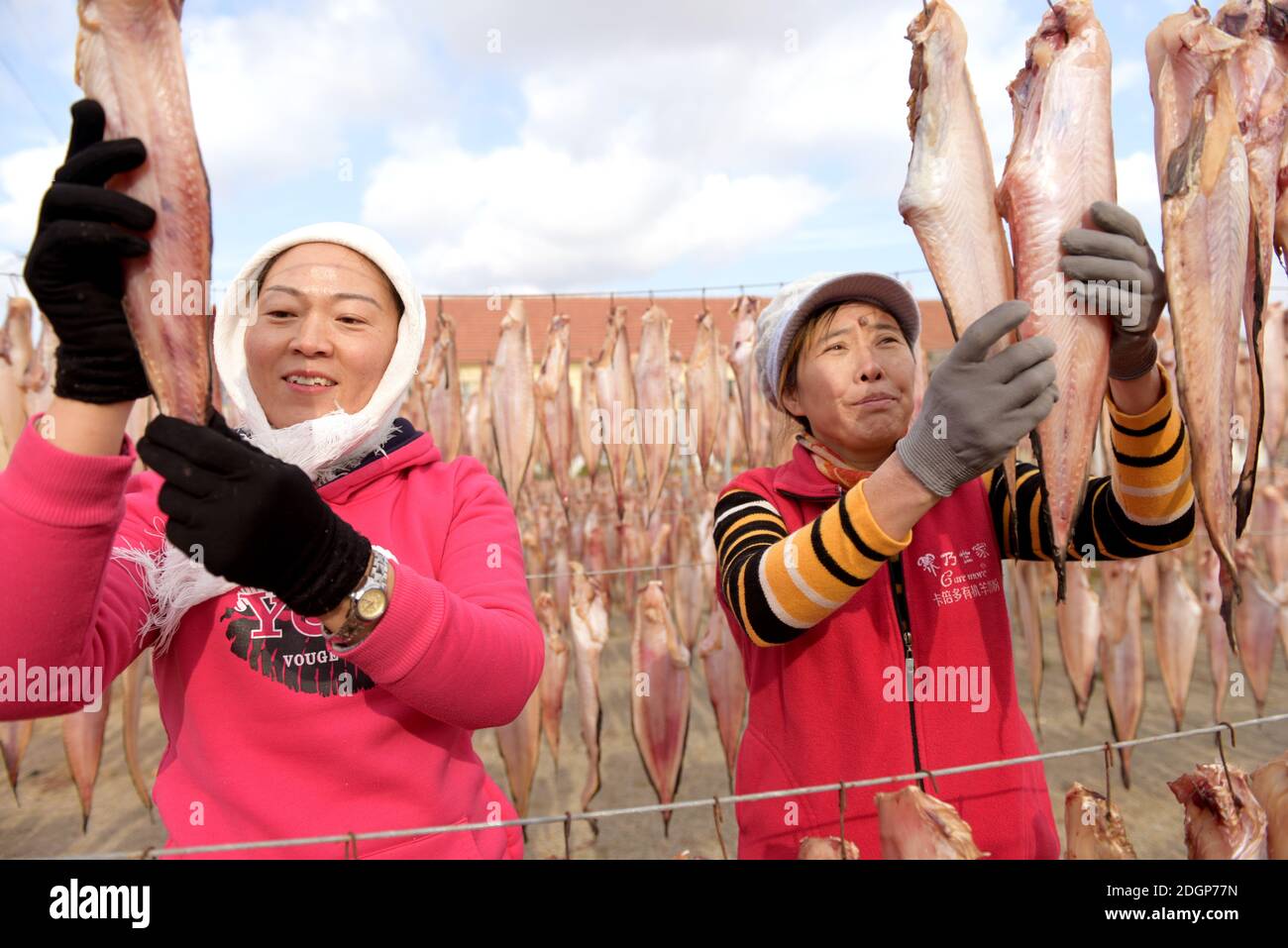 Drying fish in the yard hi-res stock photography and images - Alamy