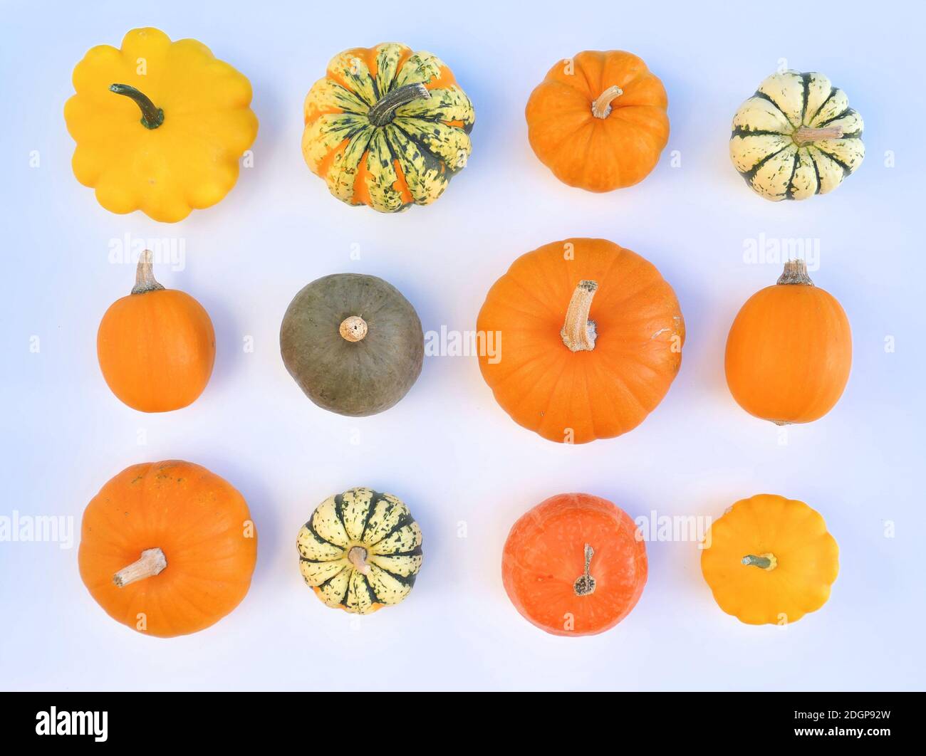 Autumn pumpkins background squashes hi-res stock photography and images ...