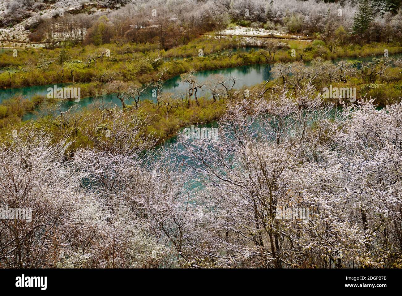 Shuzheng lake in Jiuzhaigou, mountains and trees covered by snow.The ...