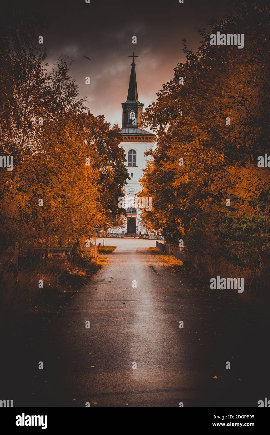 a moody autumn day in the world. whit great color and halloween feeling ...