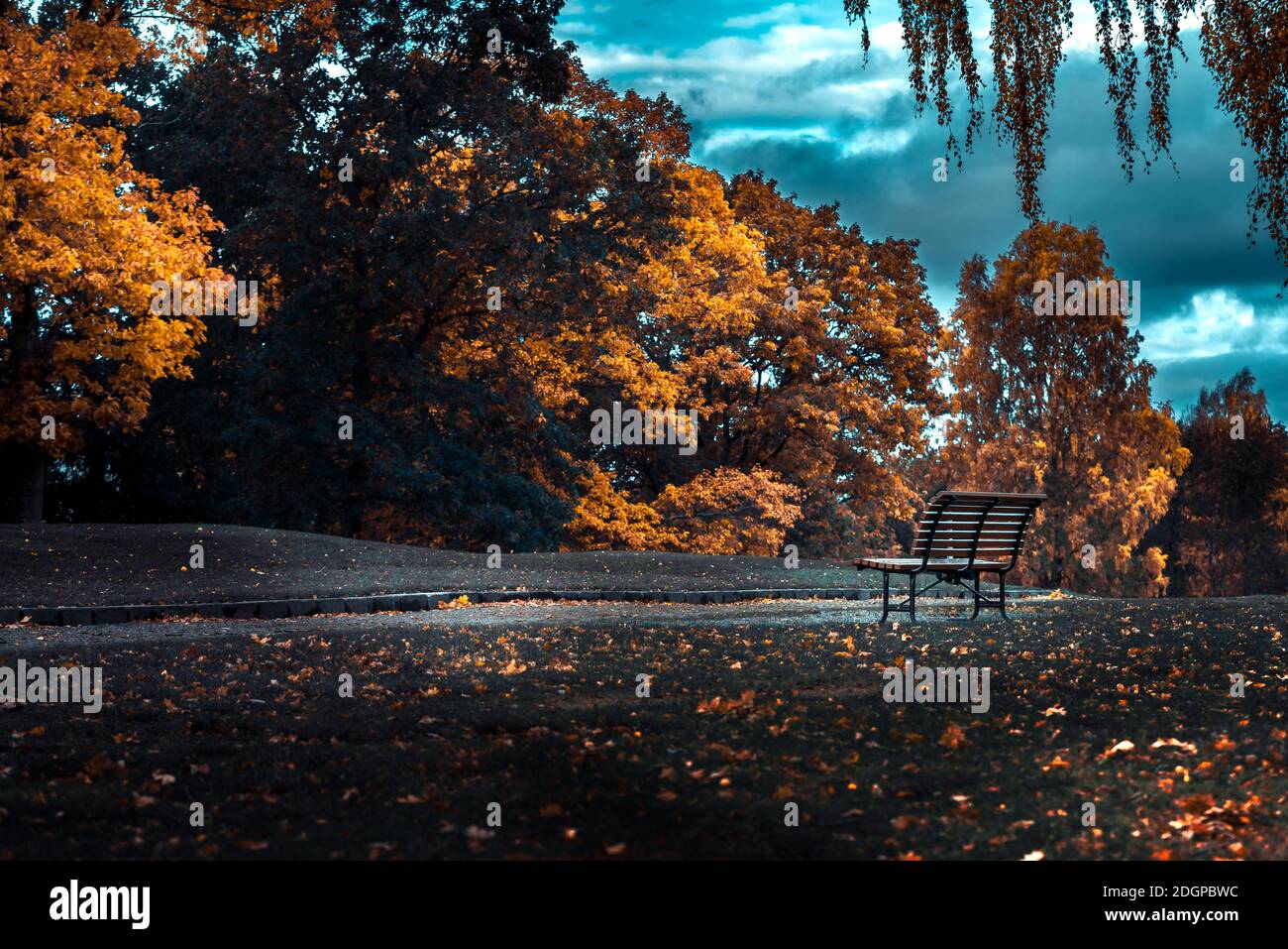 a moody autumn day in the world. whit great color and halloween feeling ...