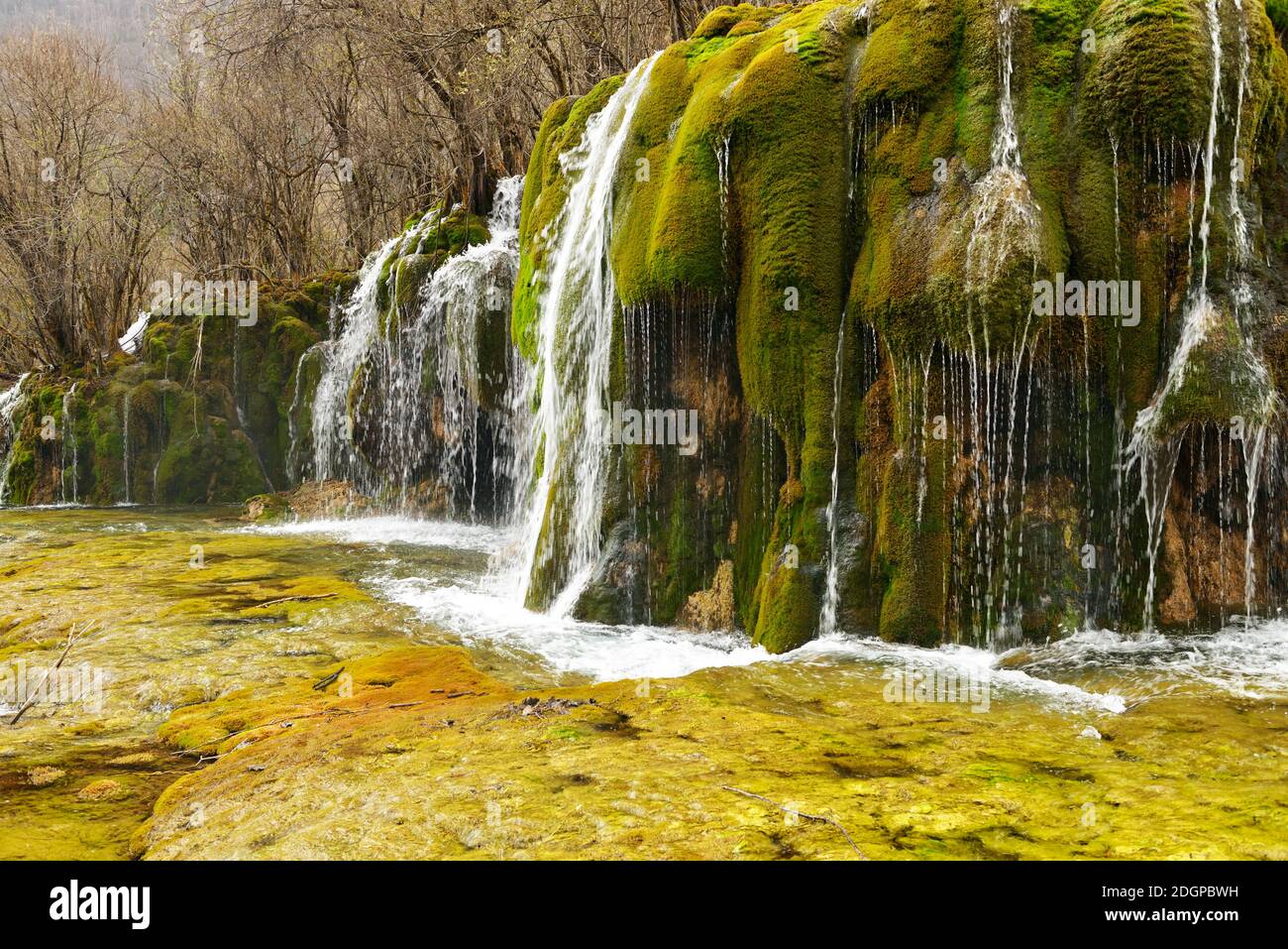 Panda waterfall hi-res stock photography and images - Alamy