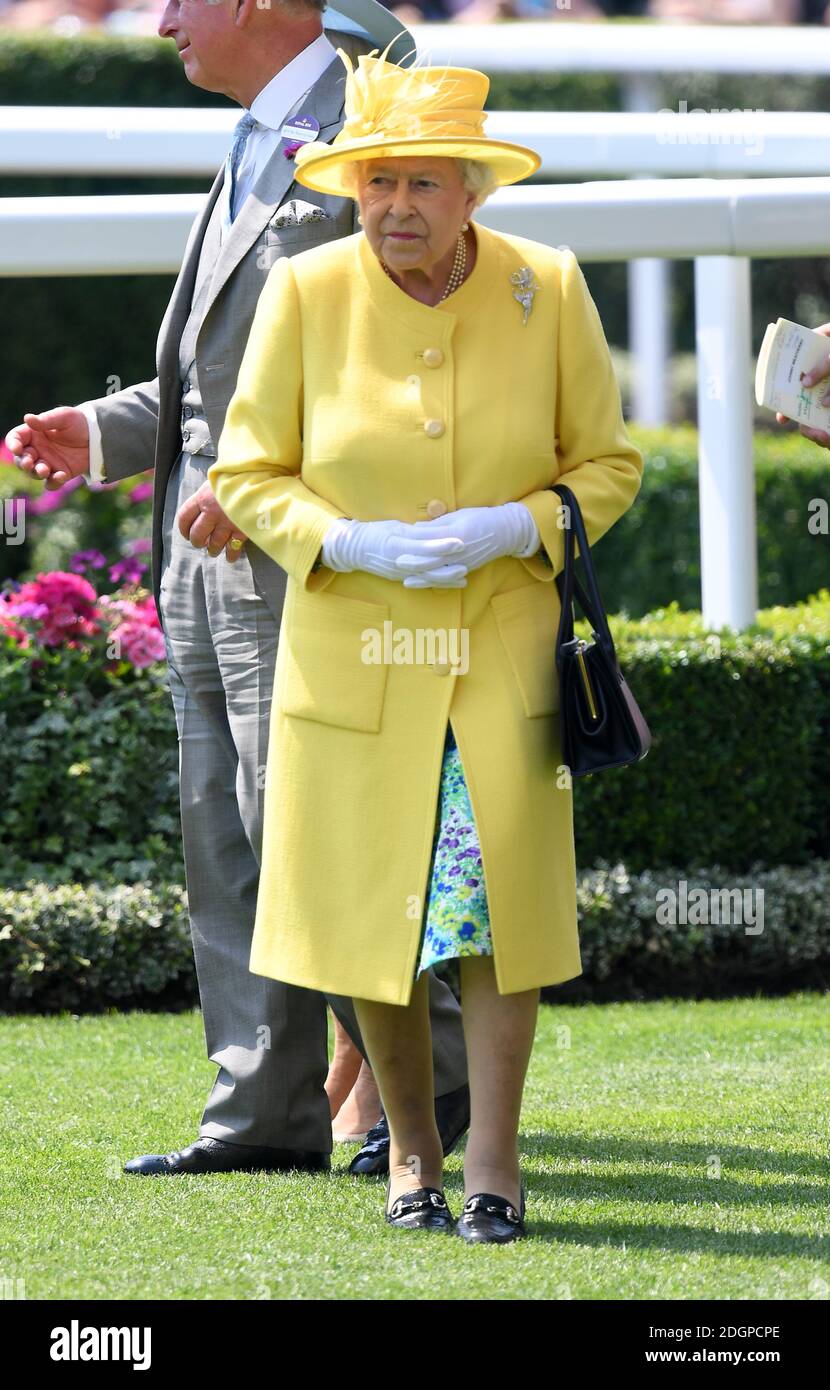 Queen yellow jacket hi-res stock photography and images - Alamy