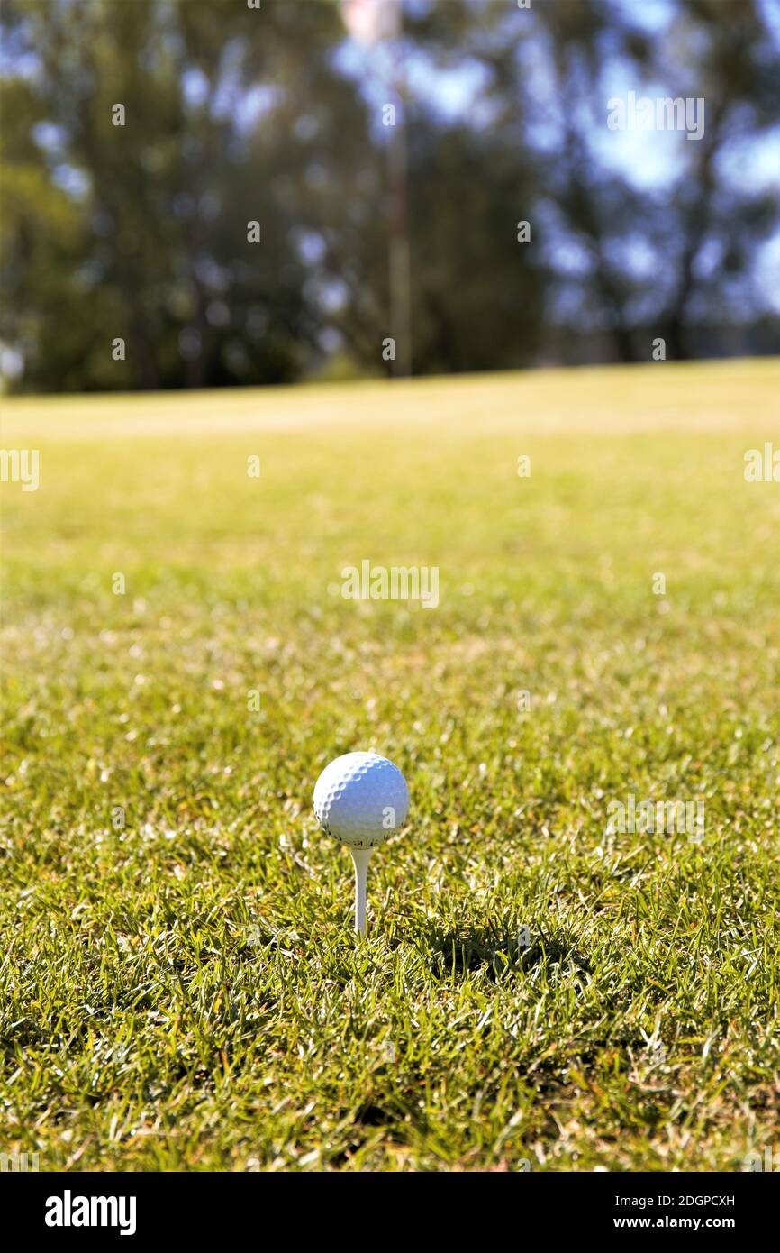 golf ball on tee Stock Photo - Alamy