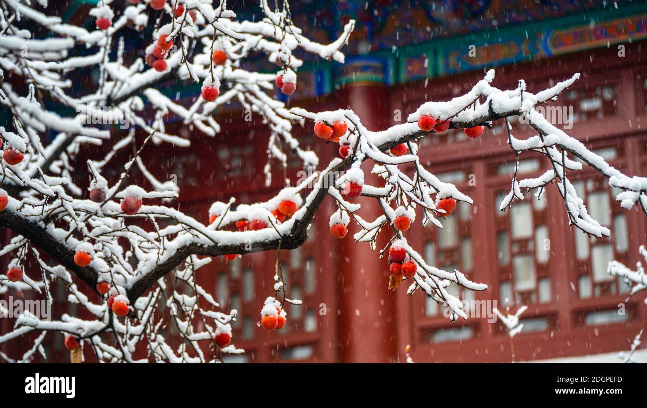 Ancient Chinese buildings and plants around the Huaqing Palace, also ...