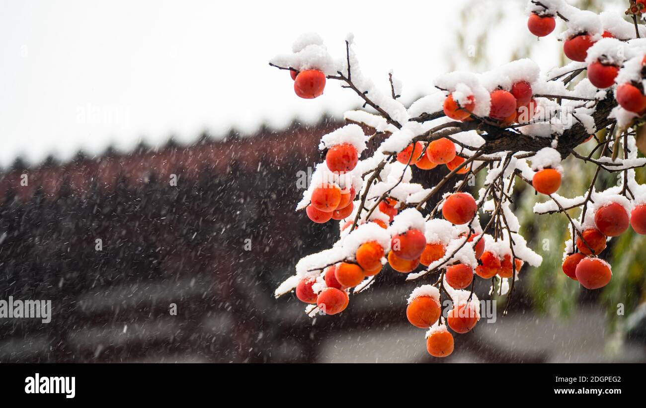 Ancient Chinese buildings and plants around the Huaqing Palace, also ...