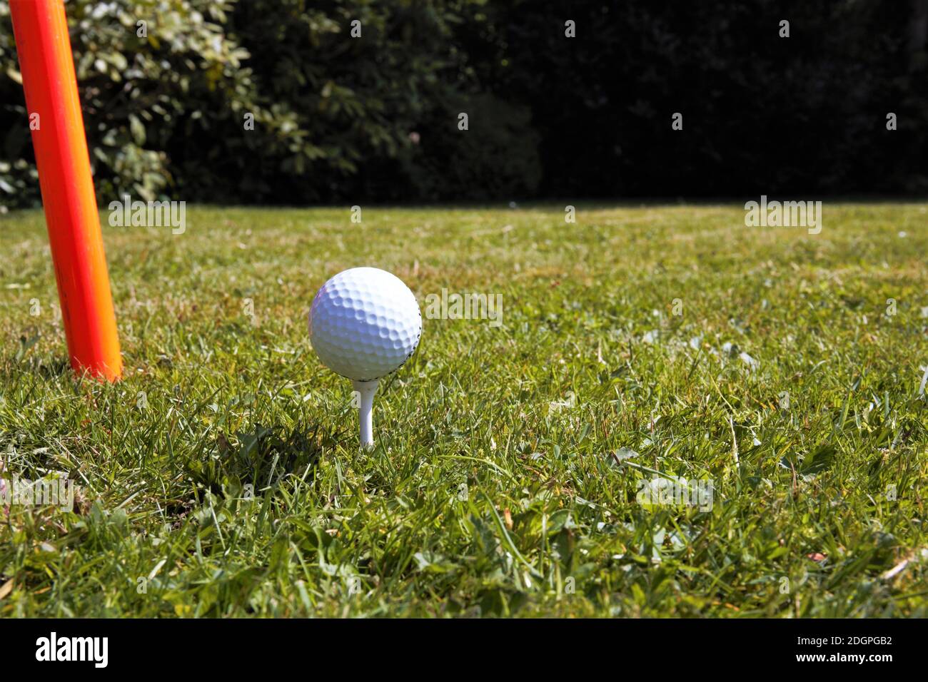 golf ball on tee Stock Photo - Alamy