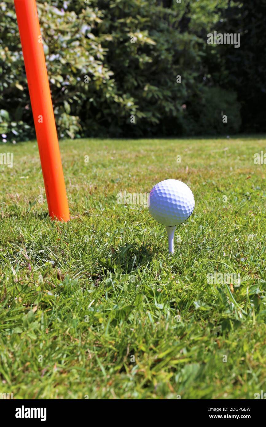 golf ball on tee Stock Photo - Alamy