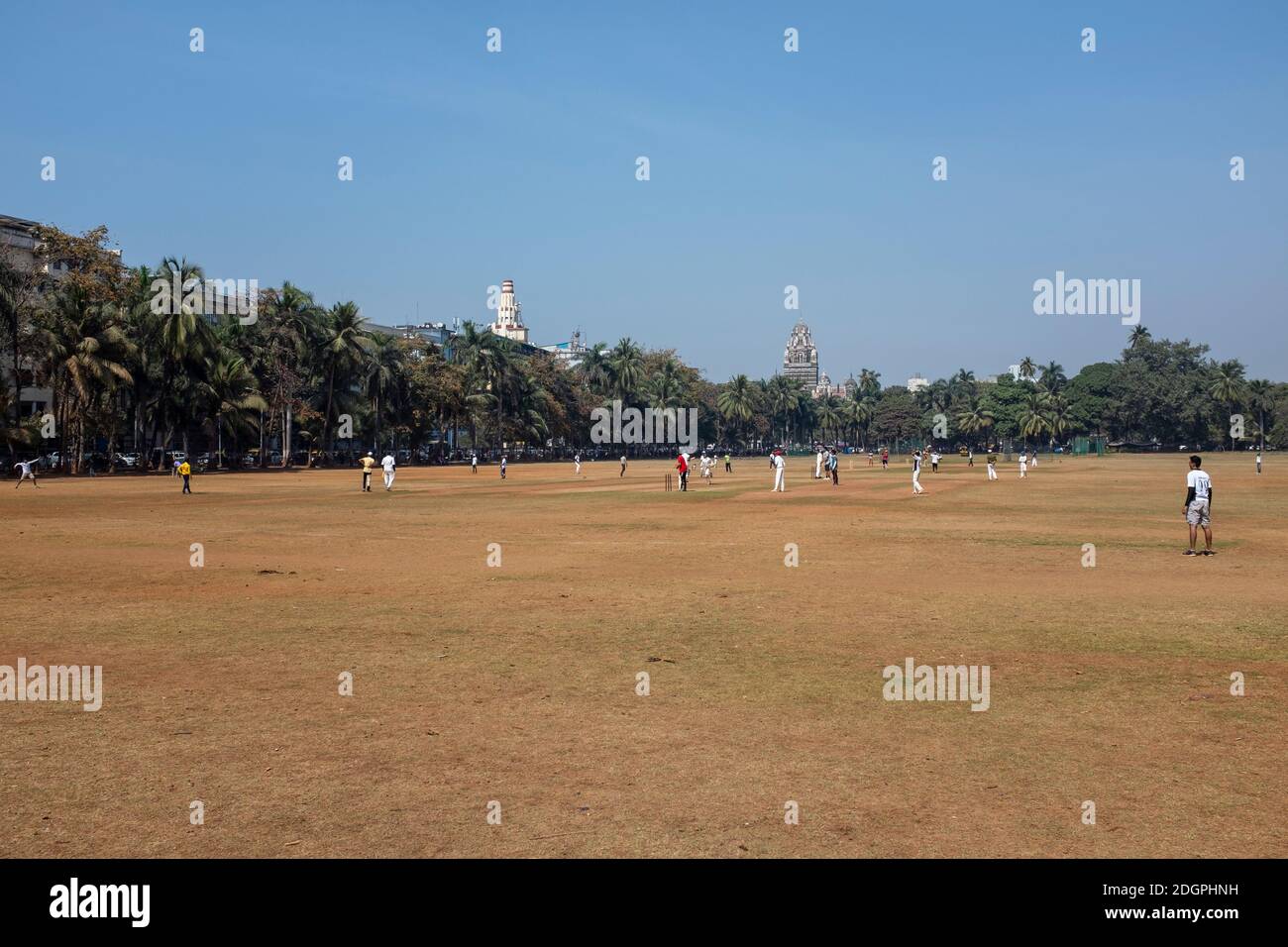Playing cricket on the Oval Maidan park in South Mumbai, India Stock ...
