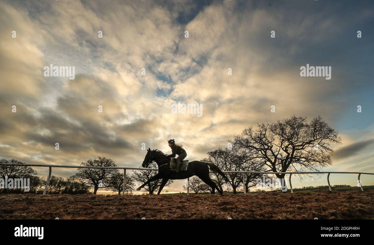Horses on the gallops at Sam Drinkwater's Granary Stables in Upper ...