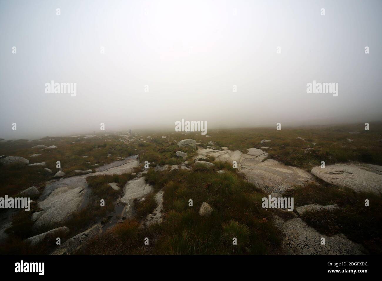 Isle of Arran, North Ayrshire, Scotland, Uk. The footpath to Goatfell ...