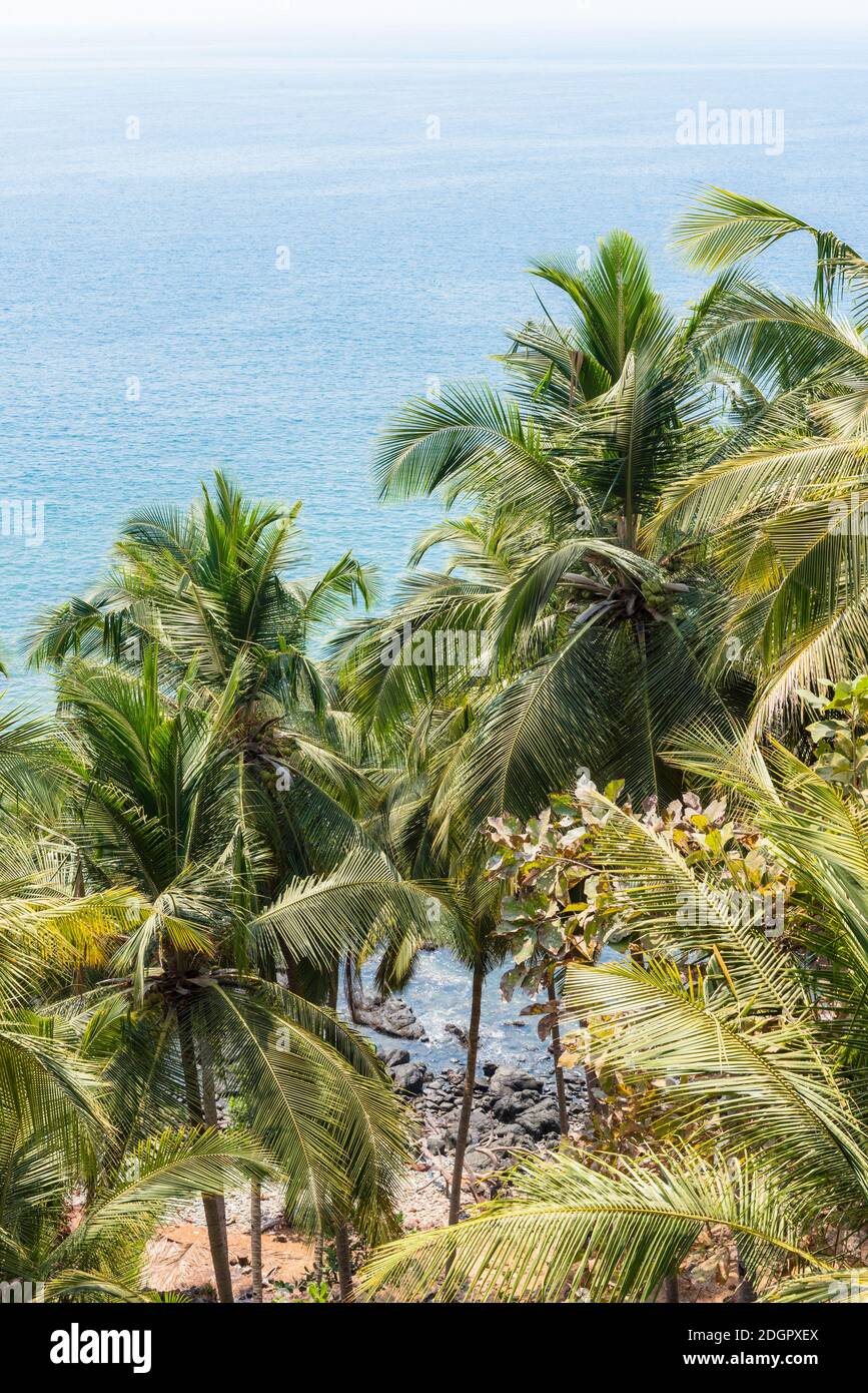 Top view of palm trees, Indian ocean and rocky coast in Goa, India ...