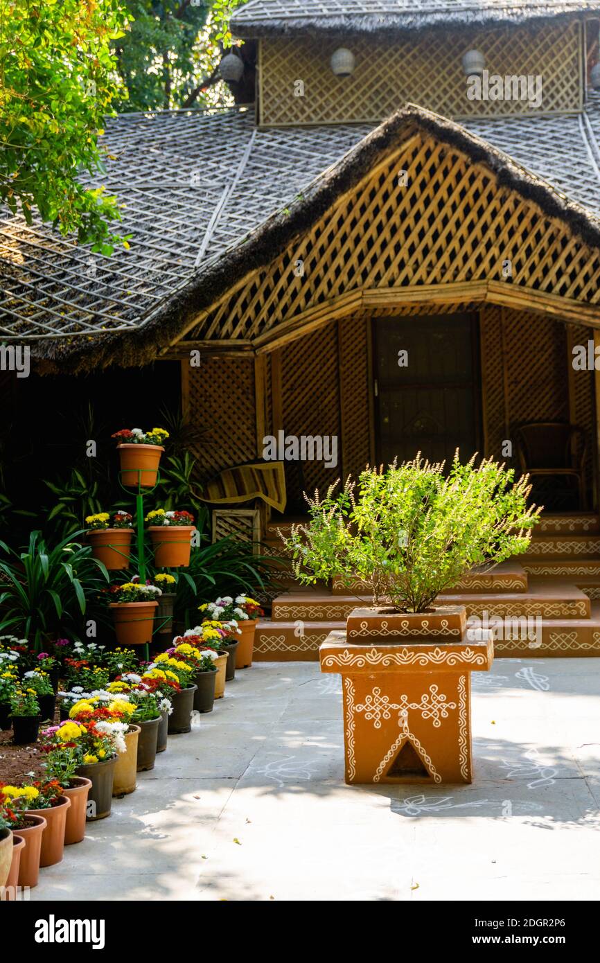 A warm country house in the countryside of India with Tulsi (Holy Basil ...