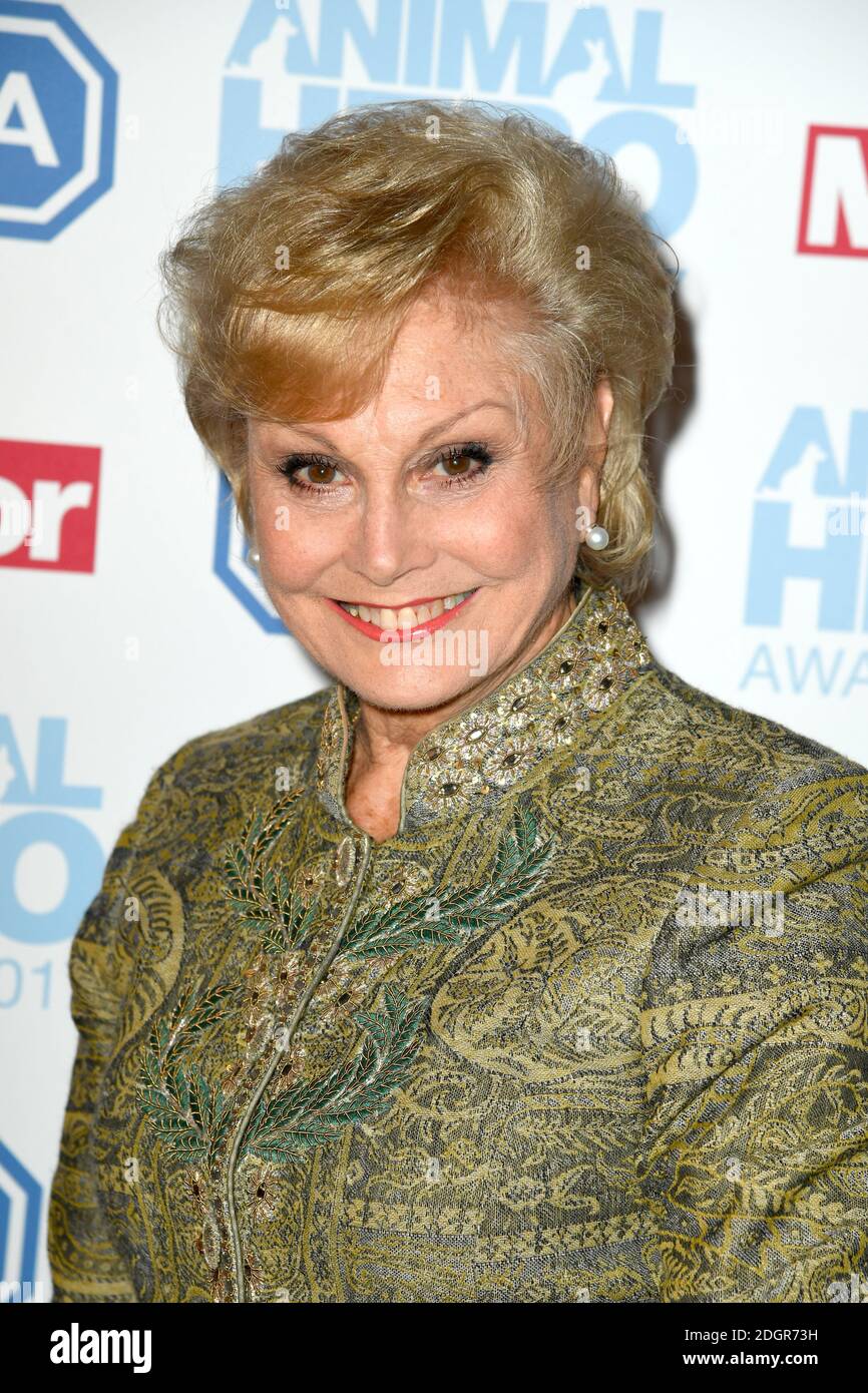 Angela Rippon attending the Animal Hero Awards held at Grosvenor House ...