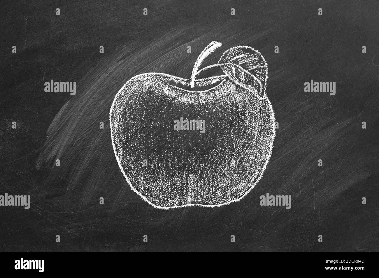 Apple leaf sketch Black and White Stock Photos & Images - Alamy