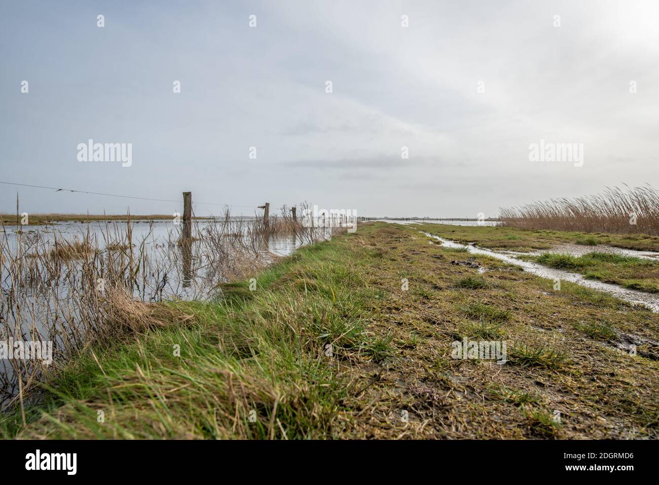 Track across the fields Stock Photo - Alamy