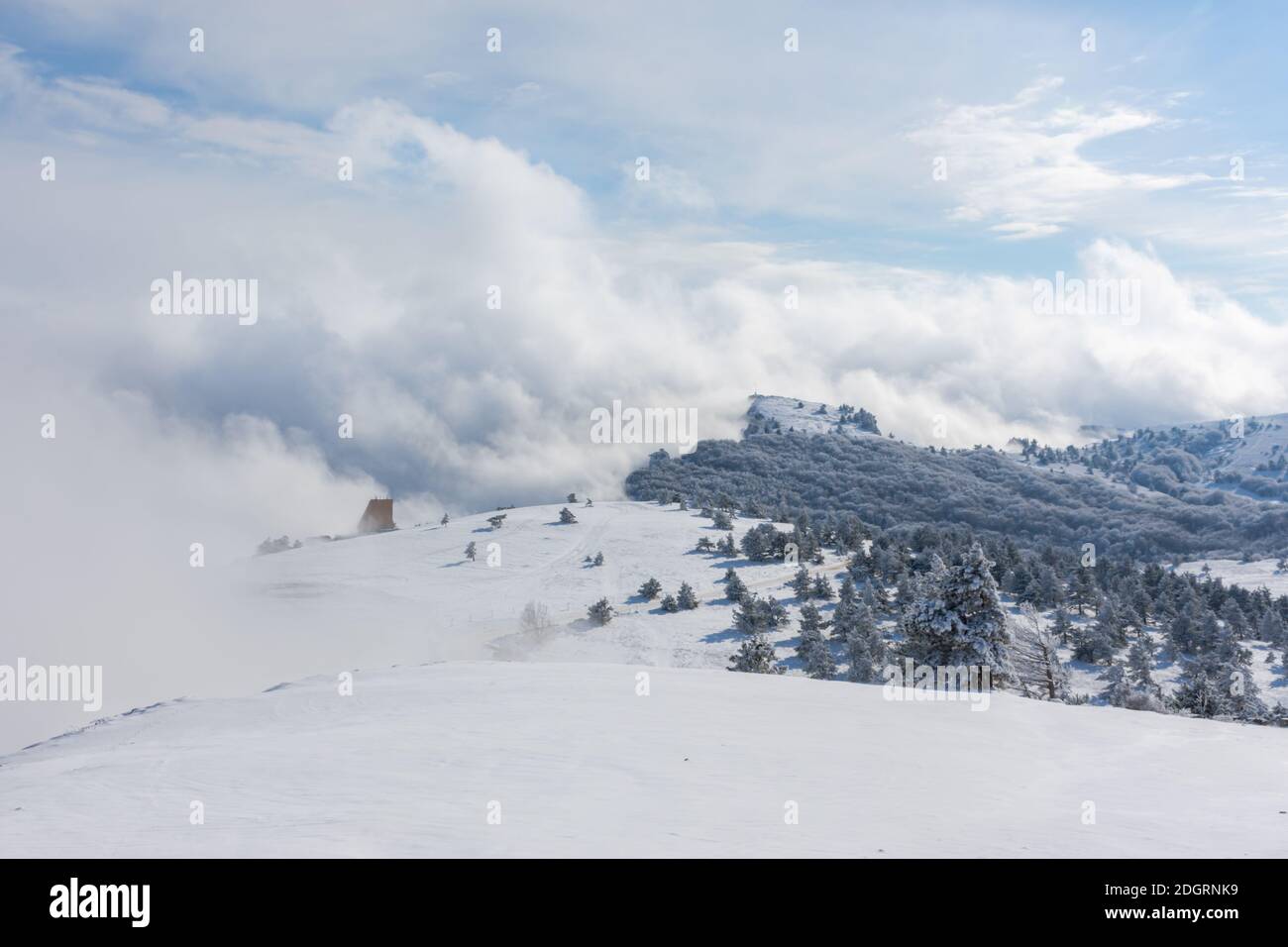 Panorama of winter landscape with snow-covered pine forest in the ...