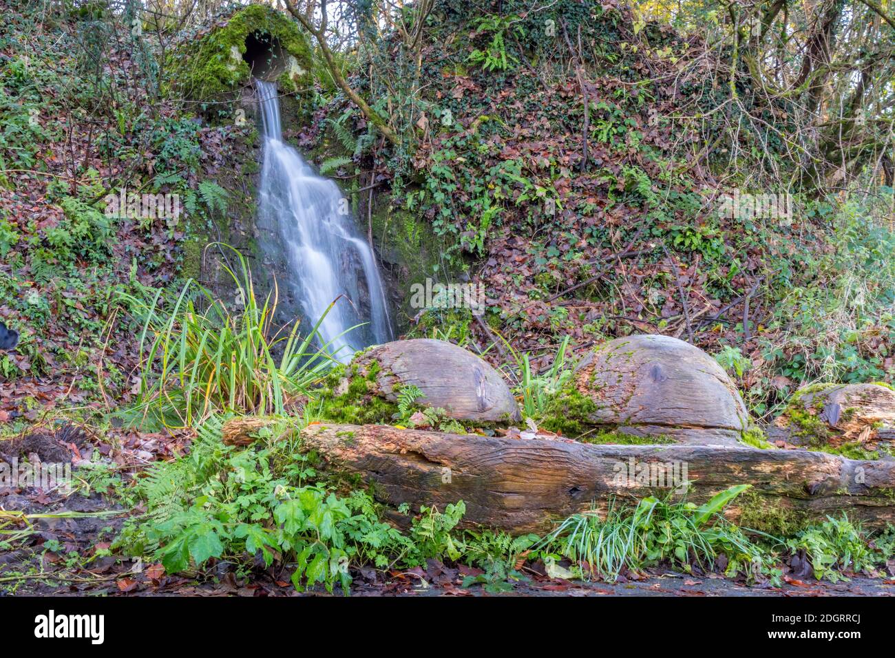 Waterfall and carved bench on the Tarka Trail near Torrington, North ...