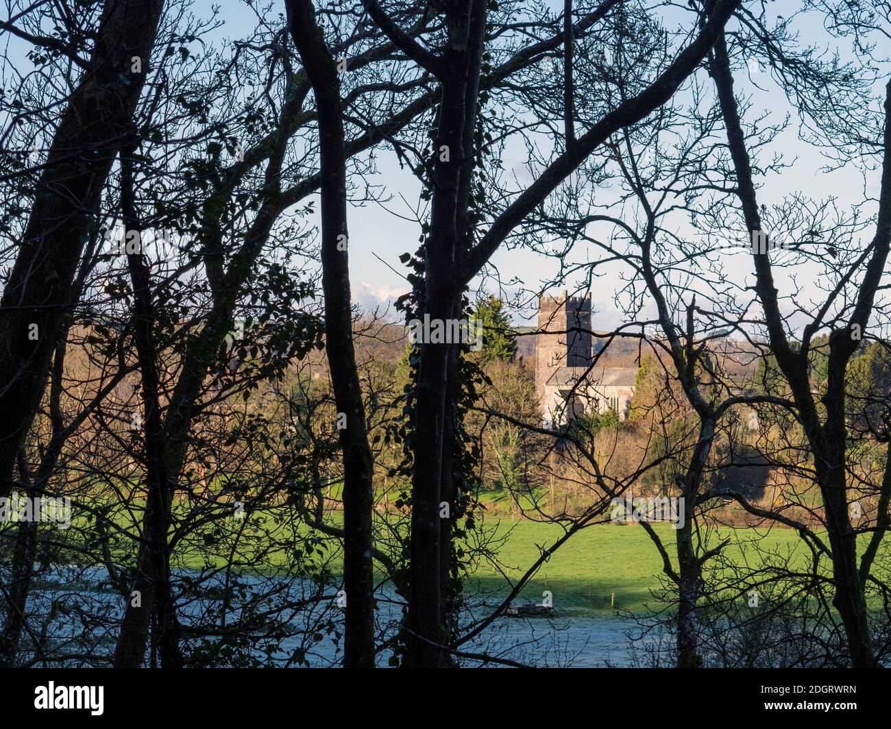 Weare tarka hi-res stock photography and images - Alamy