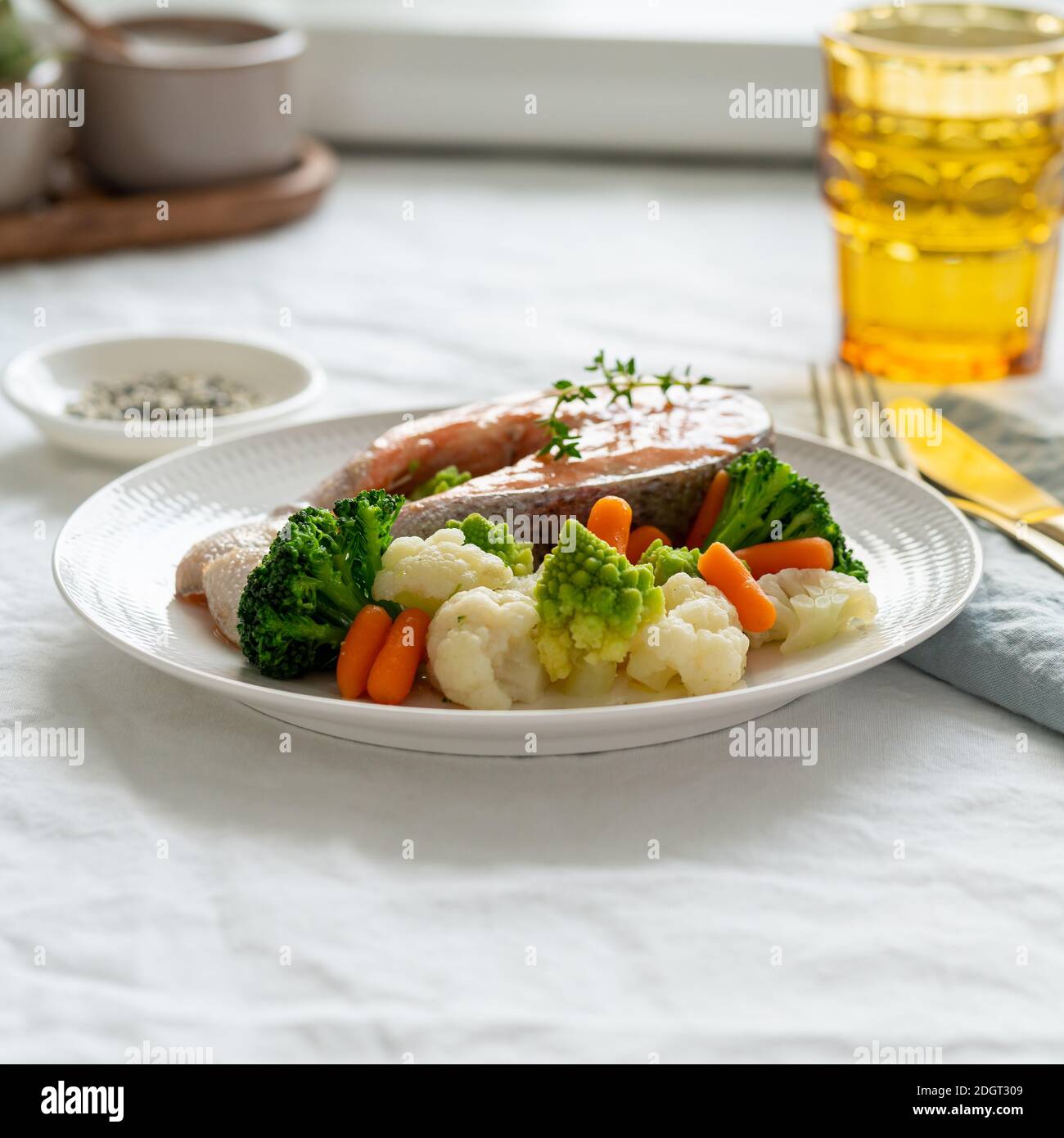 Steam salmon and vegetables, Paleo, keto, fodmap, dash diet. Side view ...