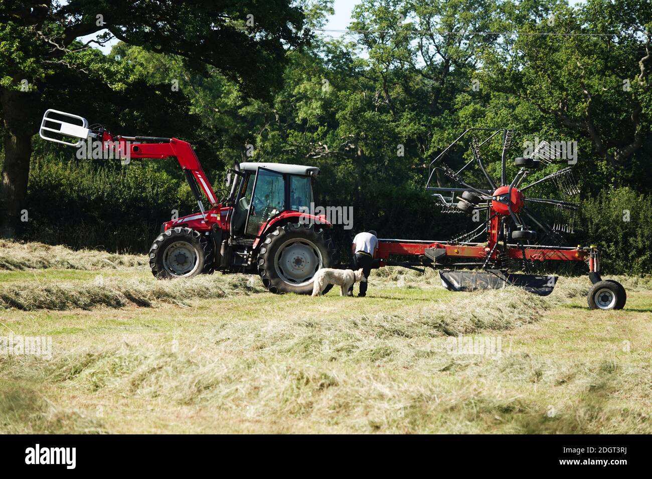 A lone farmer with his dog in a field working on his tractor and ...