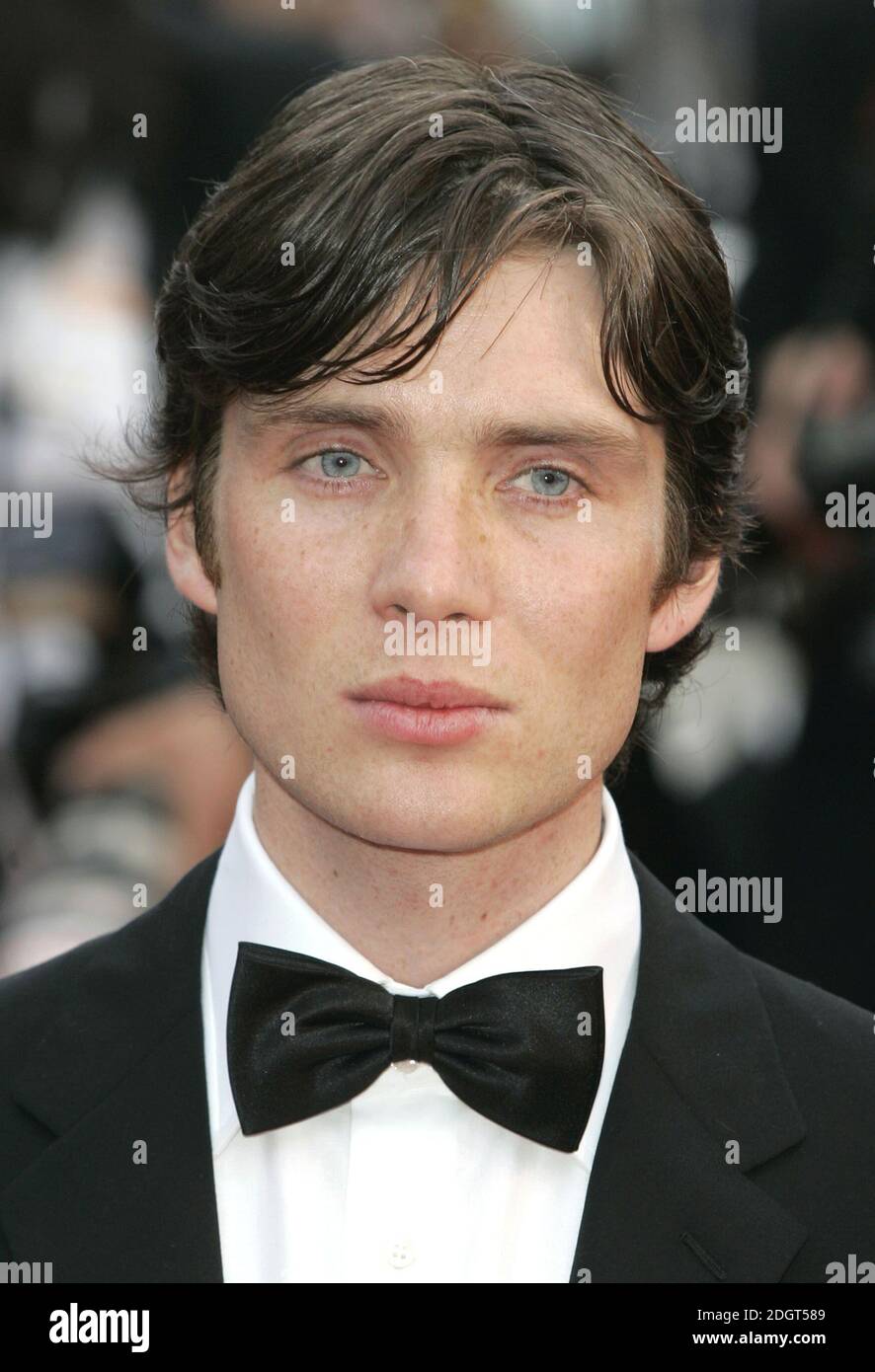 Cillian murphy portrait hi-res stock photography and images - Alamy