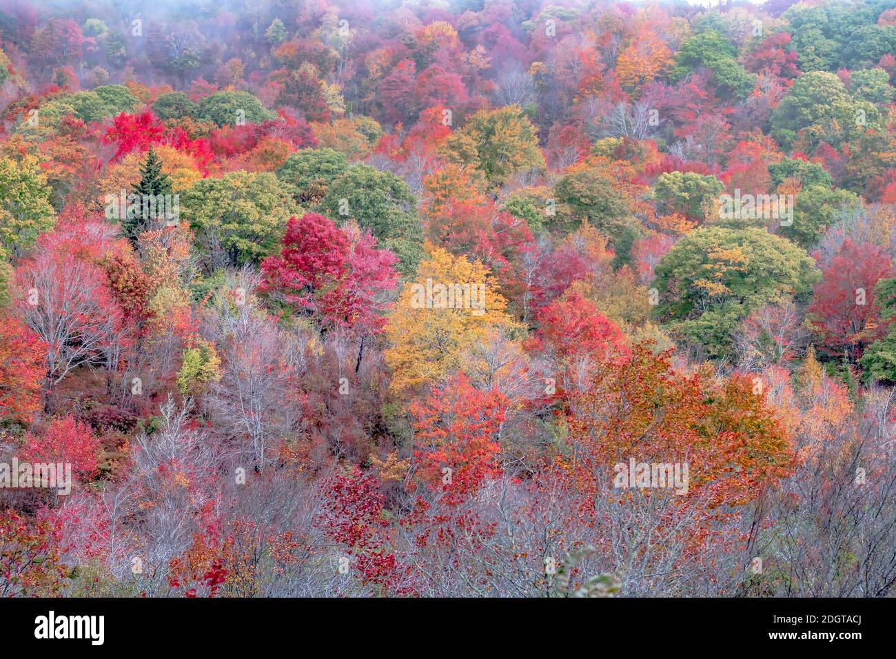 Autumn in the Appalachian Mountains Viewed Along the Blue Ridge Parkwa ...